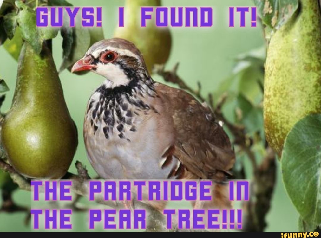 Peartree memes. Best Collection of funny Peartree pictures on iFunny