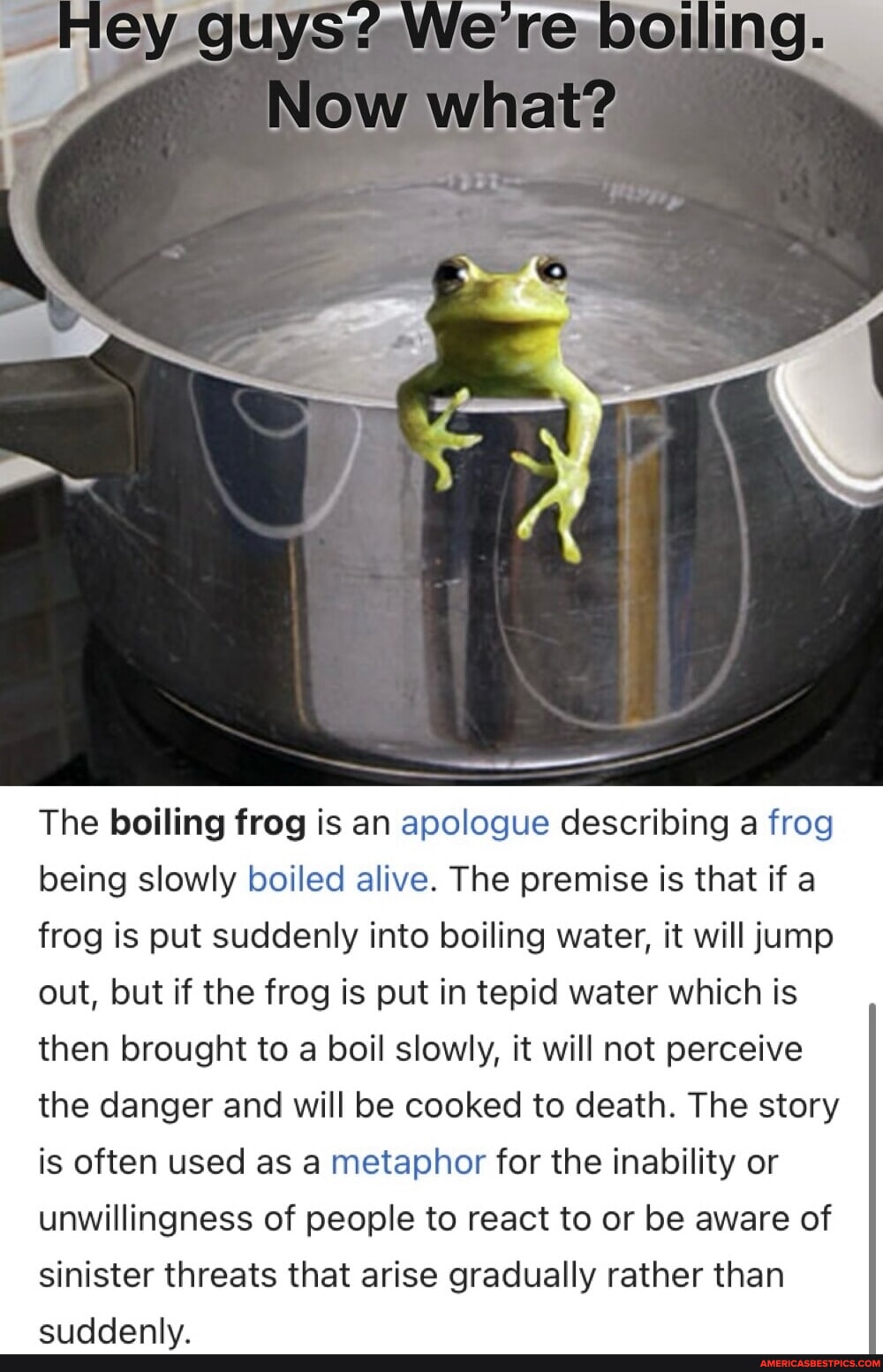 GUYS? WeTS Now what? The boiling frog is an apologue describing a frog ...