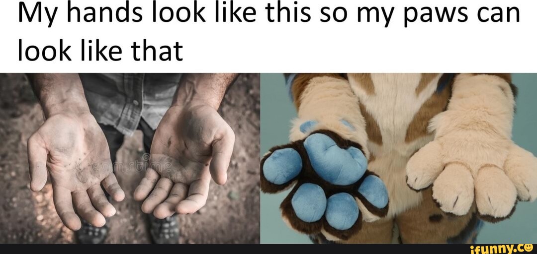 My hands look like this so my paws can look like that - iFunny