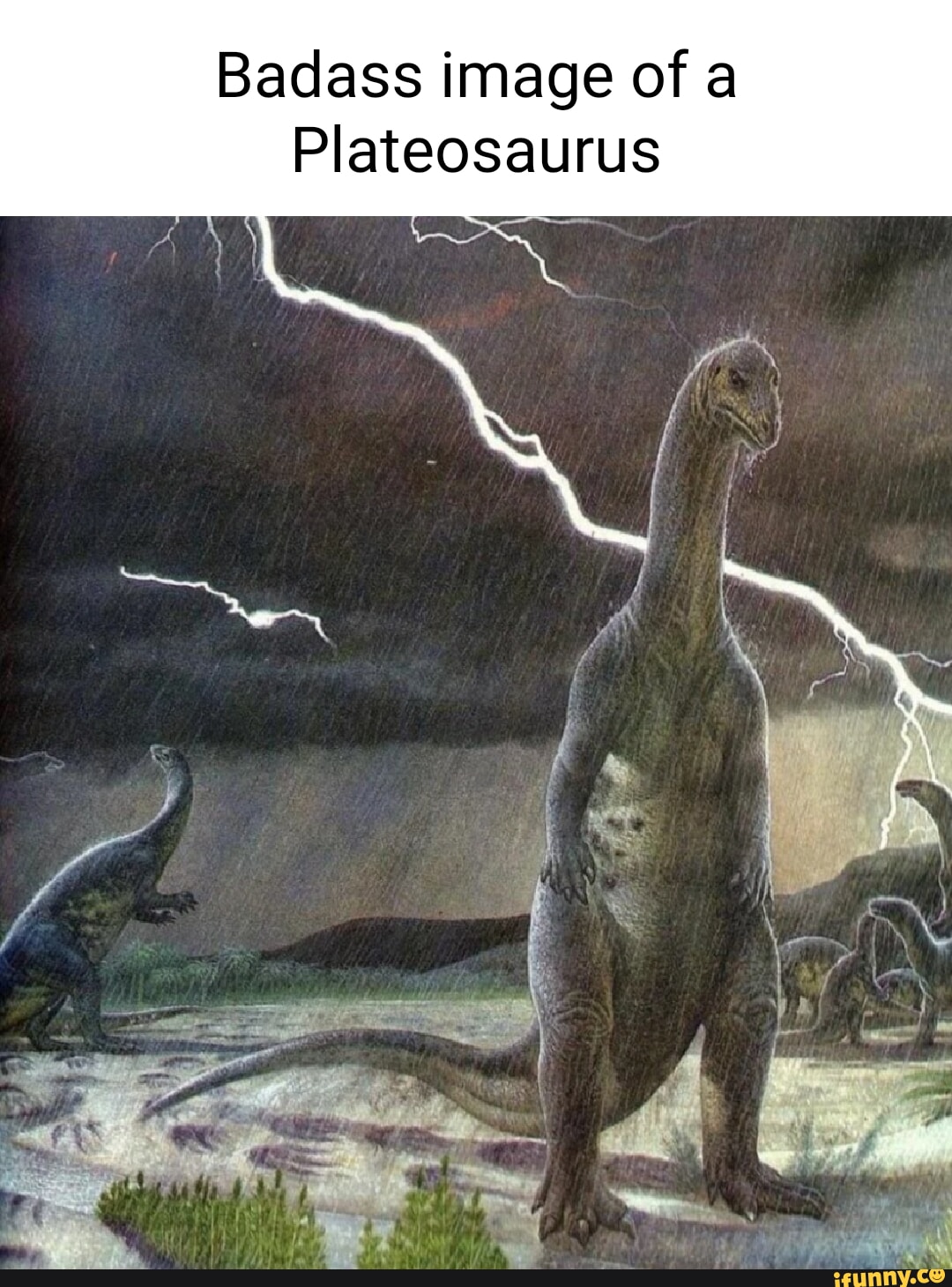 Plateosaurus memes. Best Collection of funny Plateosaurus pictures on ...