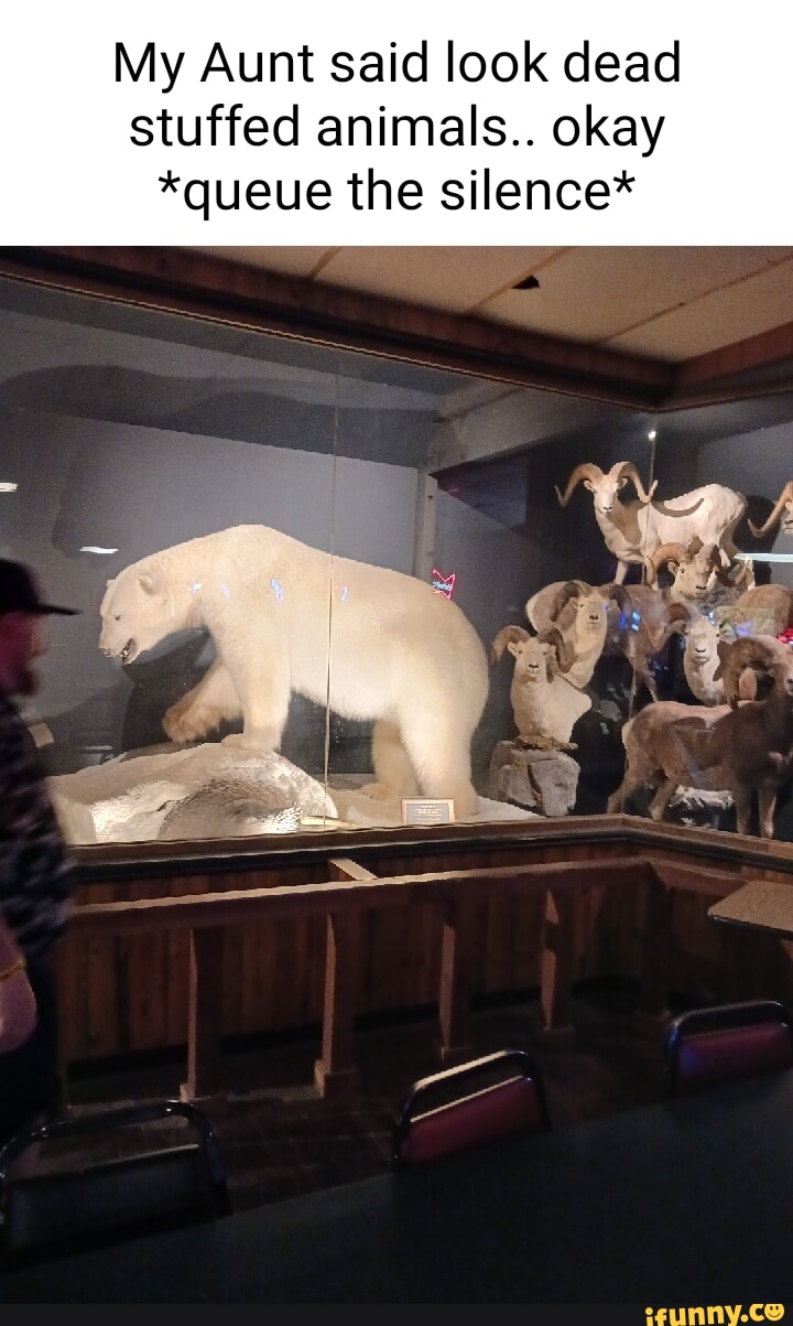 Imscaredofmyfamily memes. Best Collection of funny Imscaredofmyfamily ...