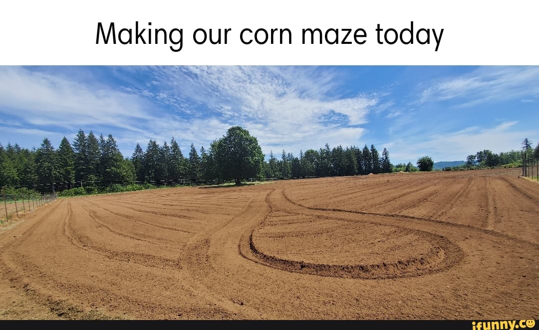 Cornmaze memes. Best Collection of funny Cornmaze pictures on iFunny
