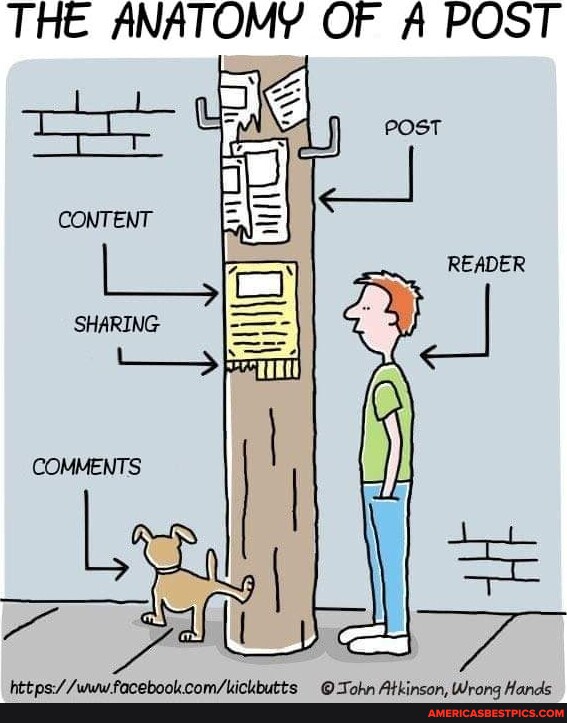 THE ANATOMY OF A POST READER rang - America’s best pics and videos