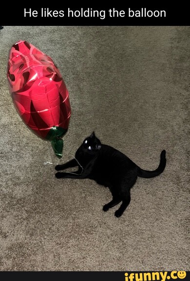 Bagheera memes. Best Collection of funny Bagheera pictures on iFunny