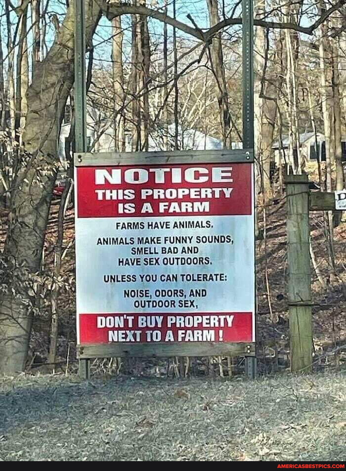 SSS THIS PROPERTY IS FARM FARMS HAVE ANIMALS. ANIMALS MAKE FUNNY SOUNDS ...
