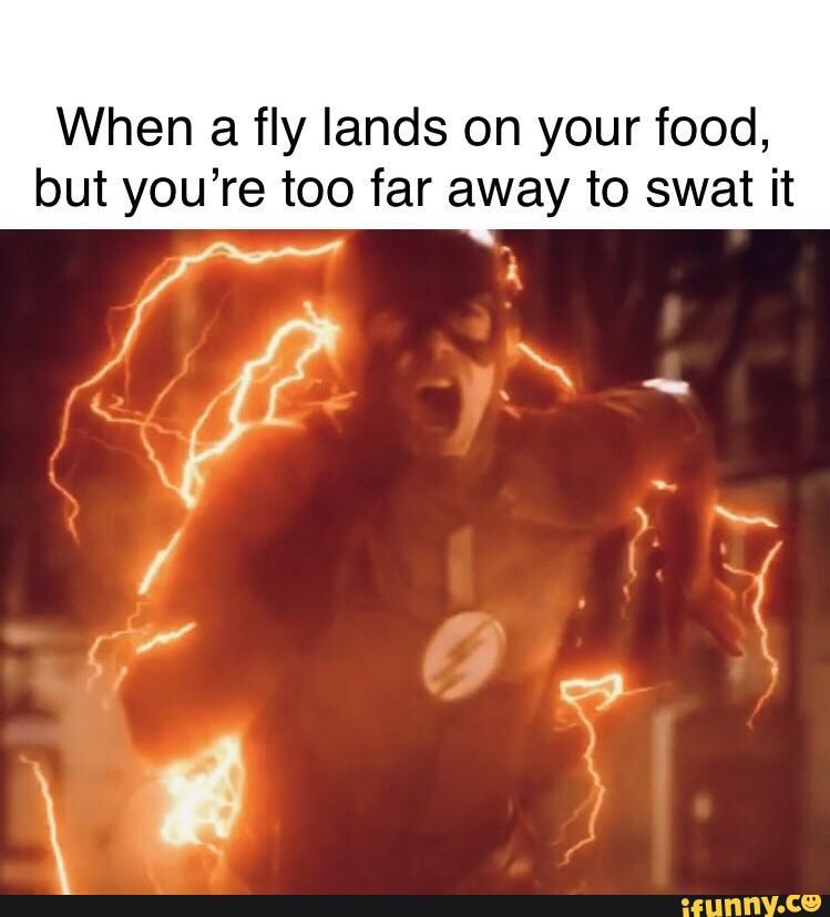 When a fly lands on your food, but you're too far away to swat it - iFunny