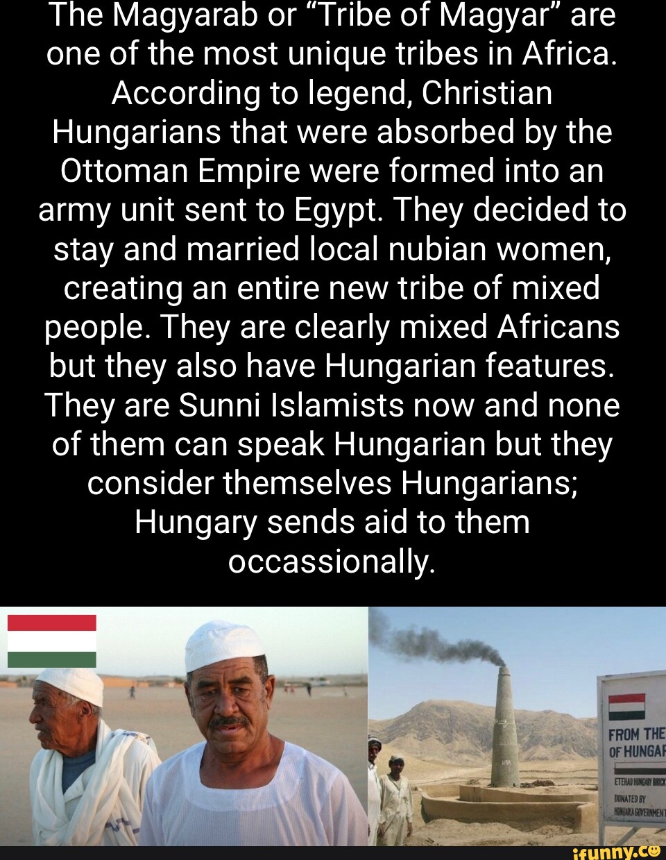The Magyarab or "Tribe of Magyar are one of the most unique tribes in ...