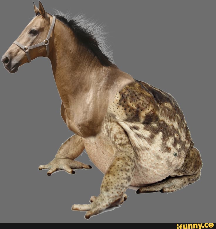 Reverse centaur toad - iFunny