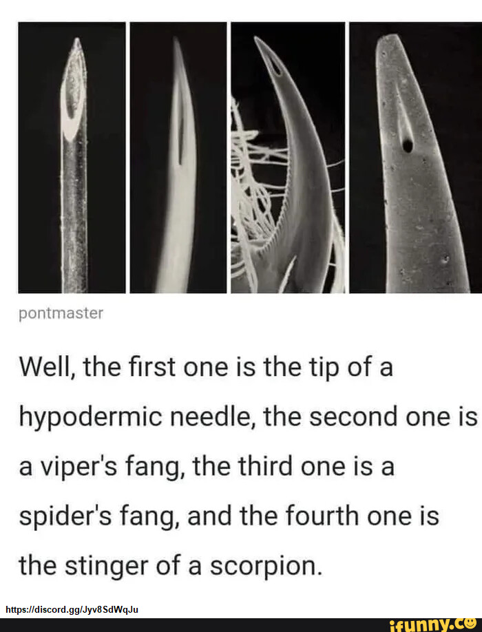 Hypodermic memes. Best Collection of funny Hypodermic pictures on iFunny