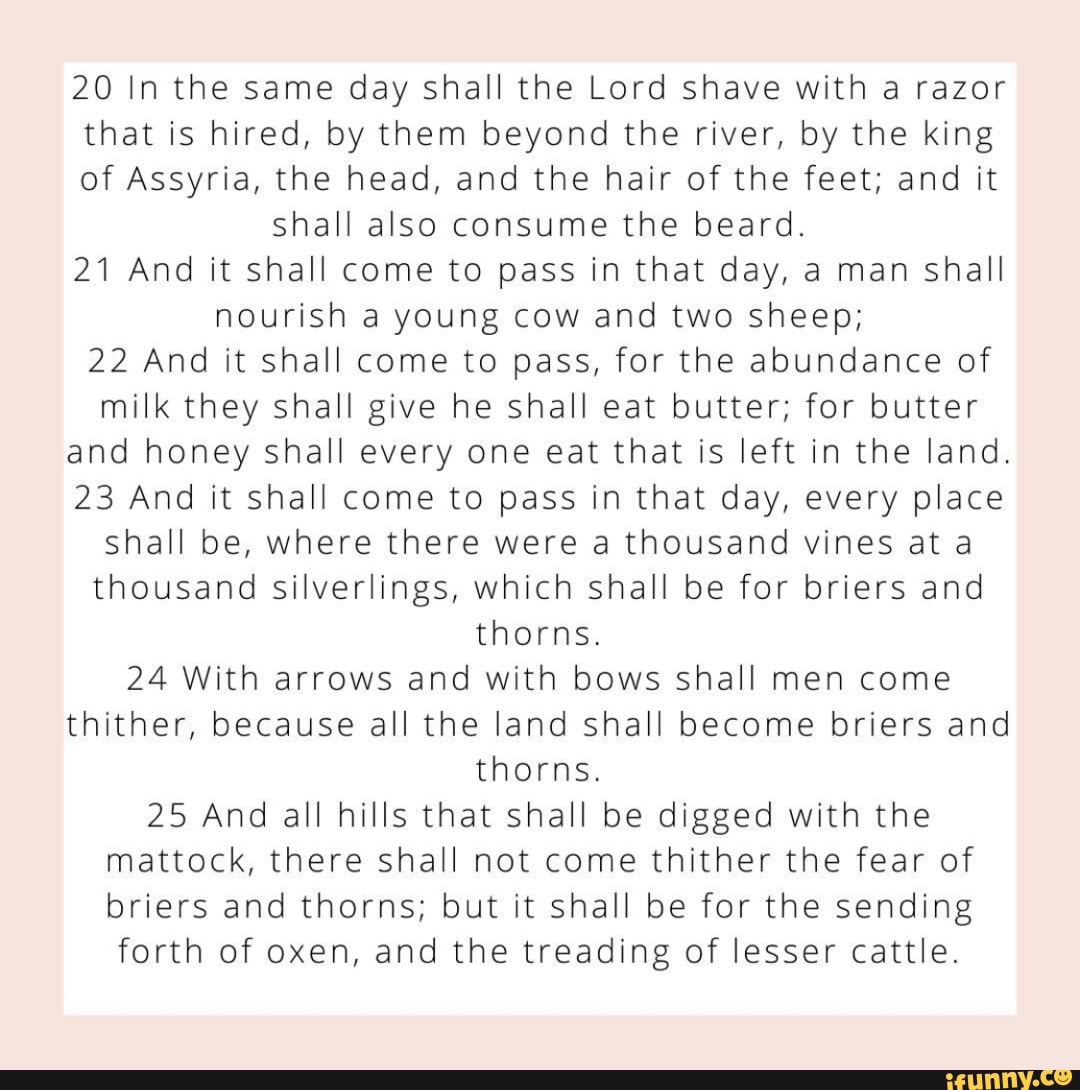 20 In the same day shall the Lord shave with a razor that is hired, by ...