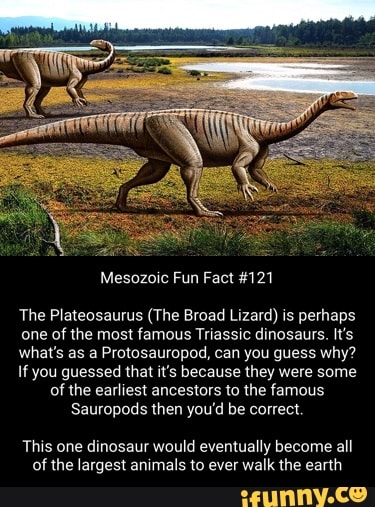 Protosauropod memes. Best Collection of funny Protosauropod pictures on ...