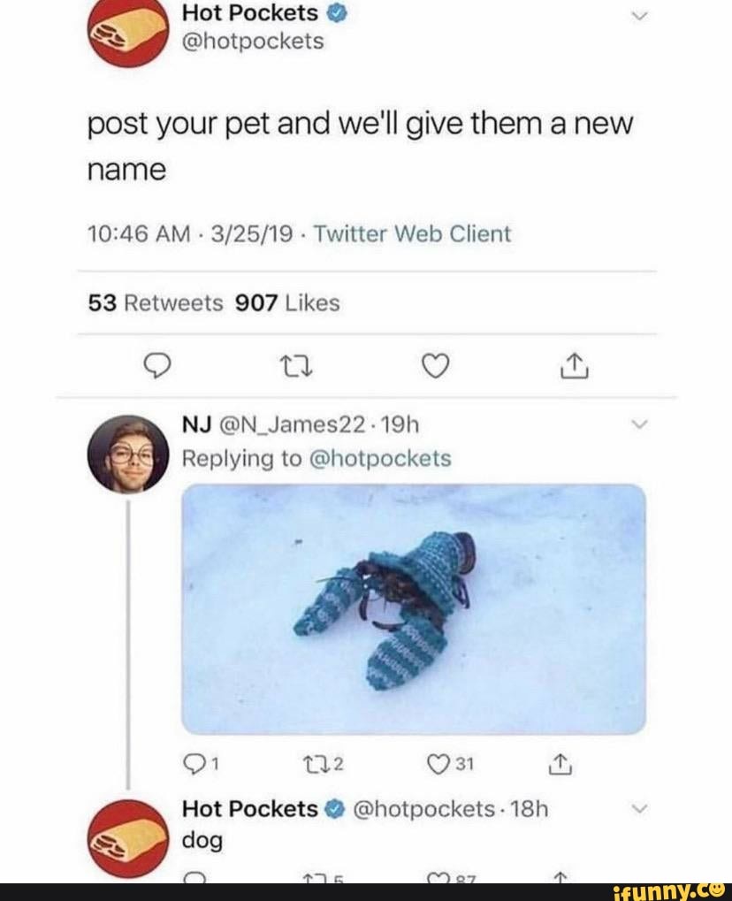 Post your pet and we'll give them a new 10:46 AM Twitter Web Client 53 ...