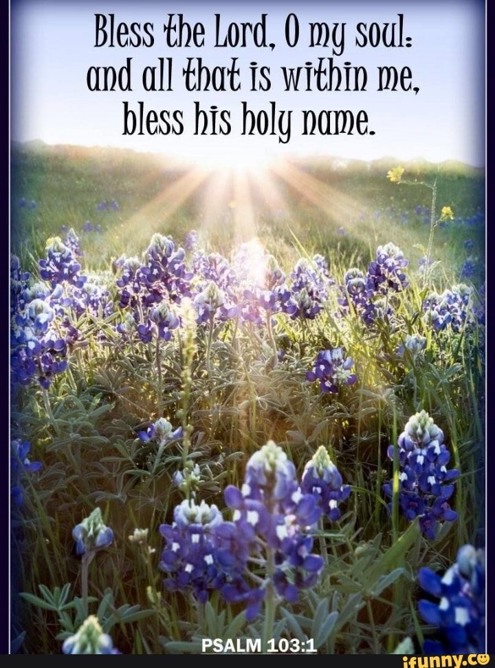 Bless the Lord. my soul: and all that is within me, bless his holy name ...