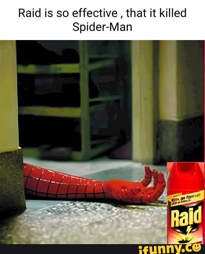 Raid is so effective , that it killed Spider-Man - iFunny