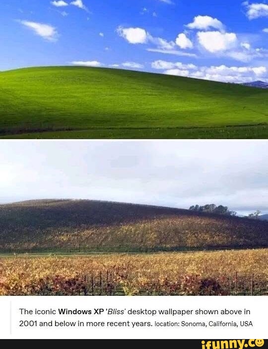 The iconic Windows XP 'Bliss' desktop wallpaper shown above in 2001 and ...
