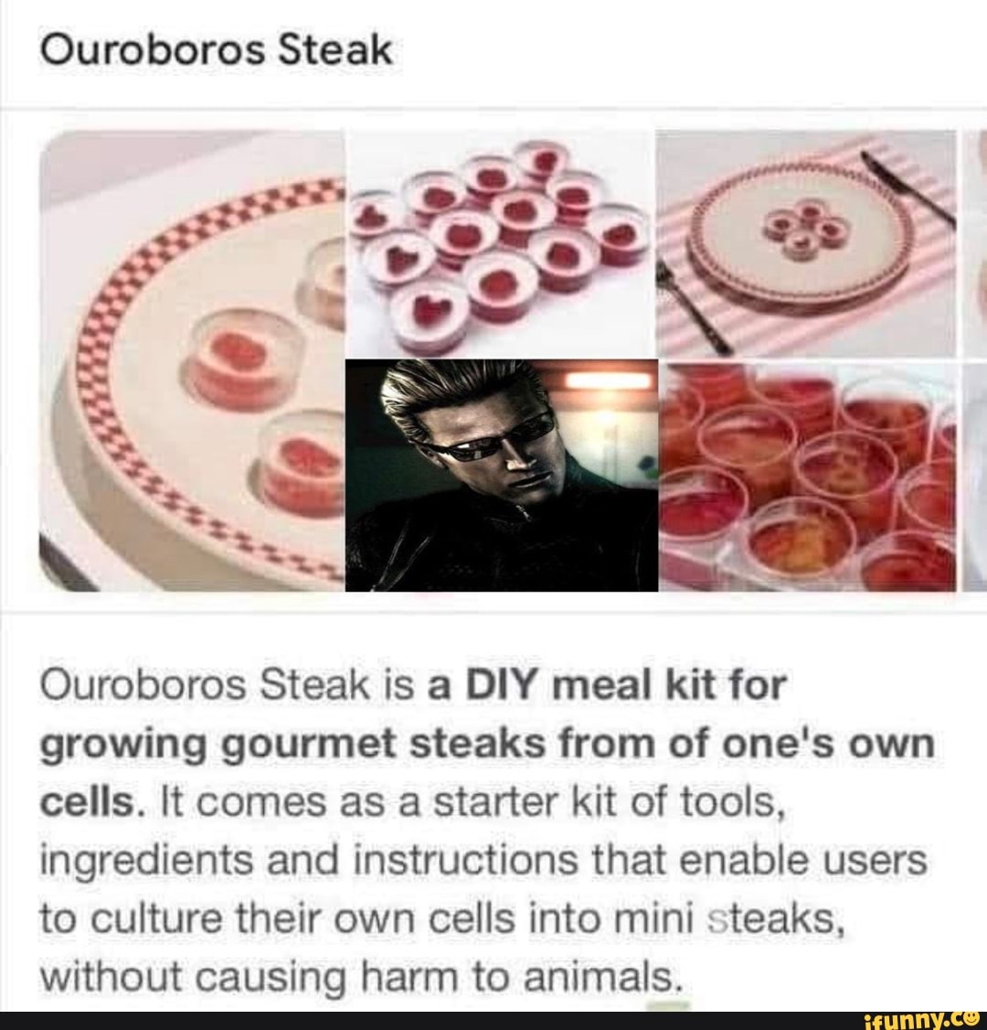 Ouroboros Steak Ouroboros Steak is a DIY meal kit for growing gourmet ...