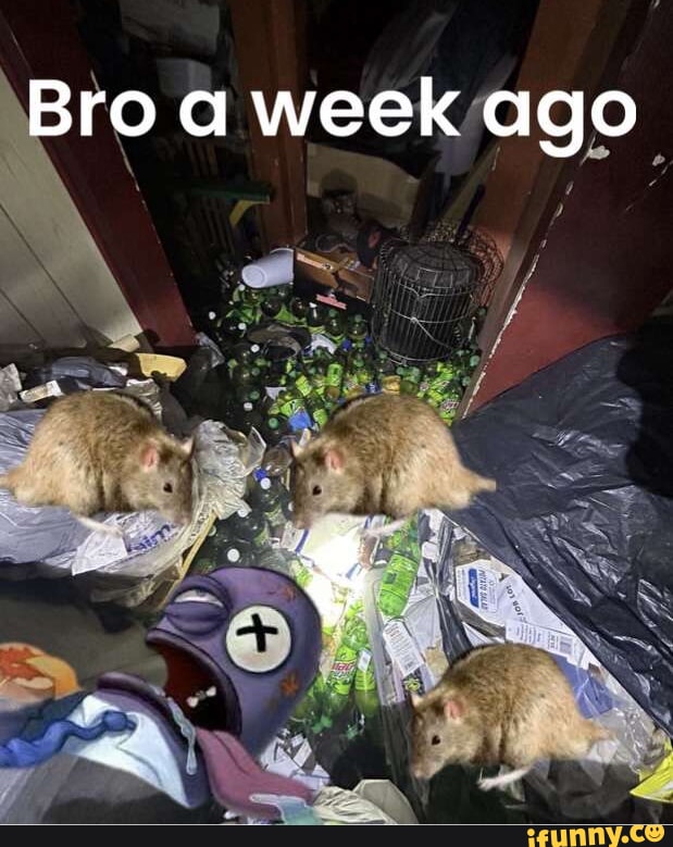 Bro a week ago - iFunny