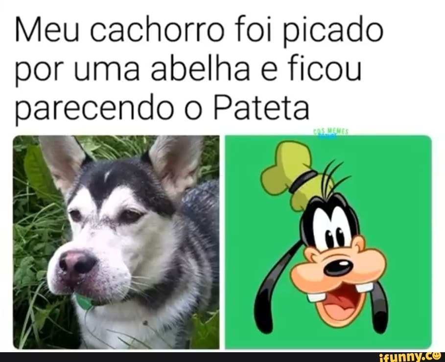 Pola esse meme me fez chora - )