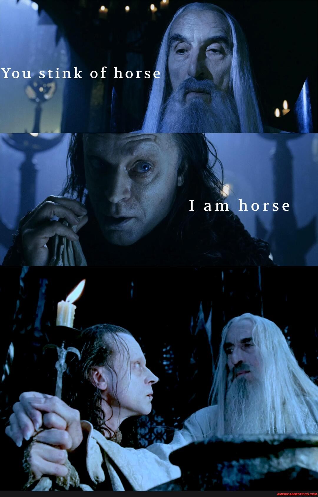 You stink of horse I am horse - America’s best pics and videos