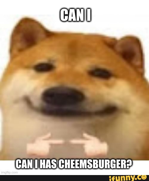 Cheemsburger memes. Best Collection of funny Cheemsburger pictures on ...