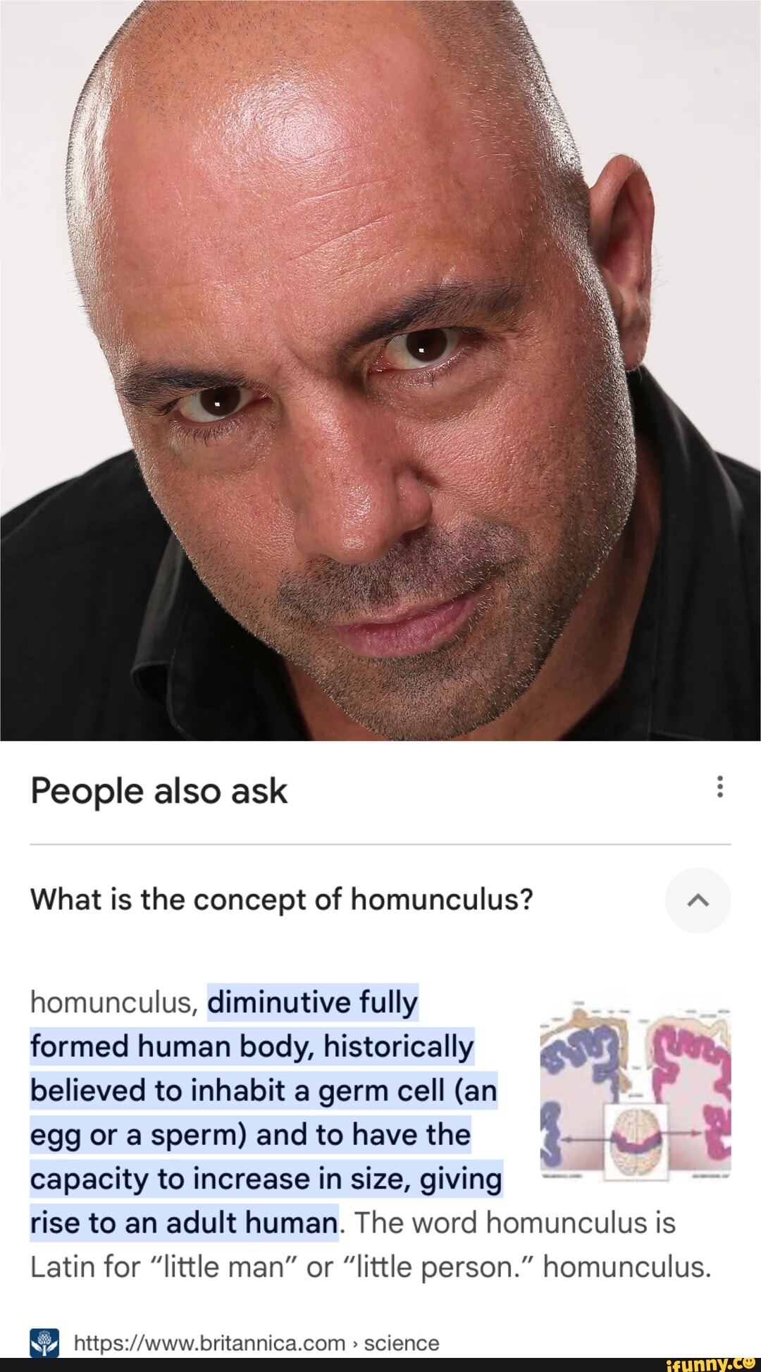 Homunculus memes. Best Collection of funny Homunculus pictures on iFunny