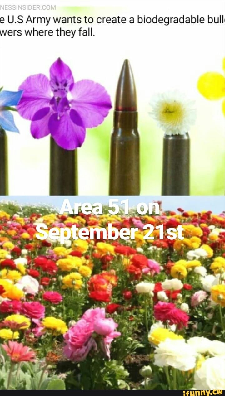 Mmememmemememesmemes memes. Best Collection of funny ...