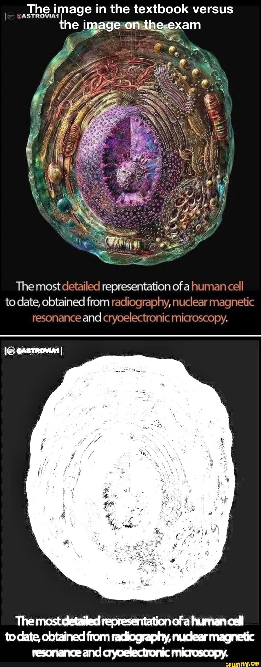 Microscopy memes. Best Collection of funny Microscopy pictures on iFunny