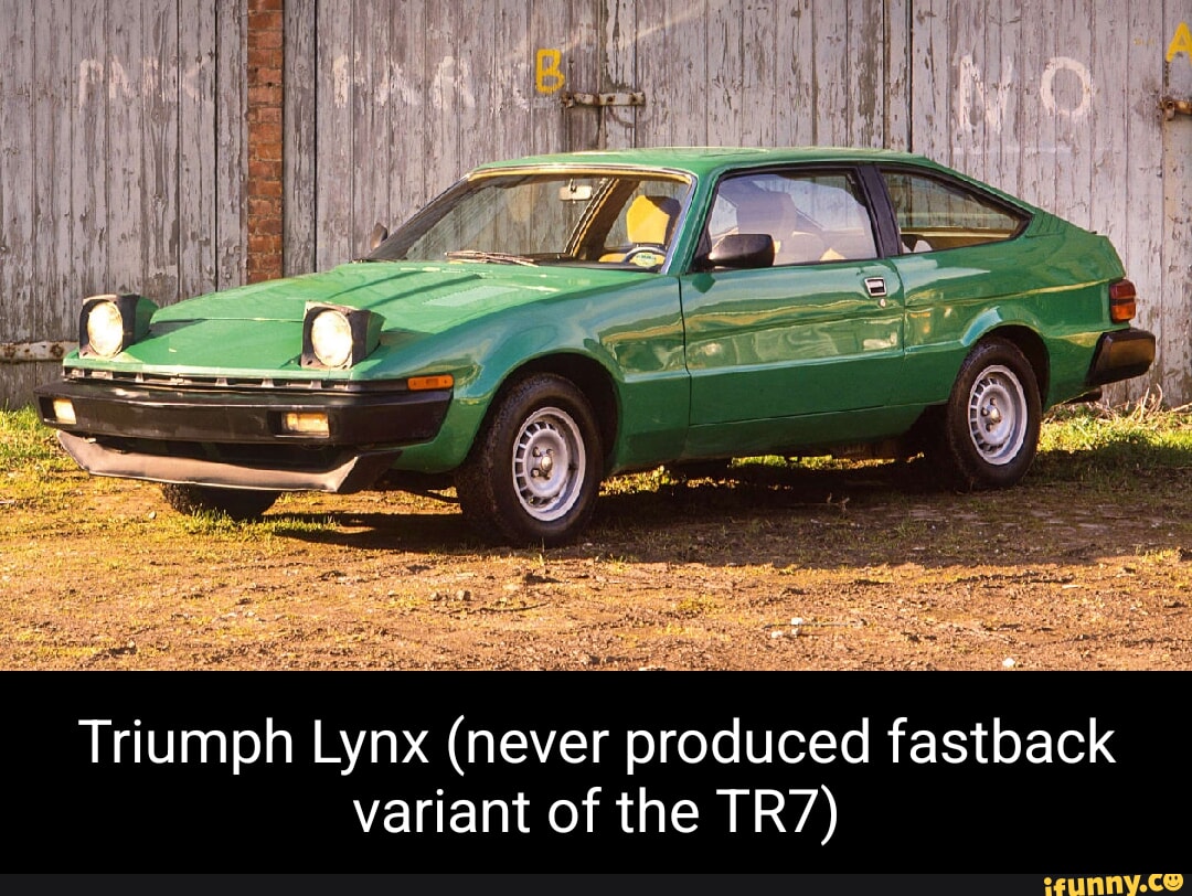 Lynx memes. Best Collection of funny Lynx pictures on iFunny