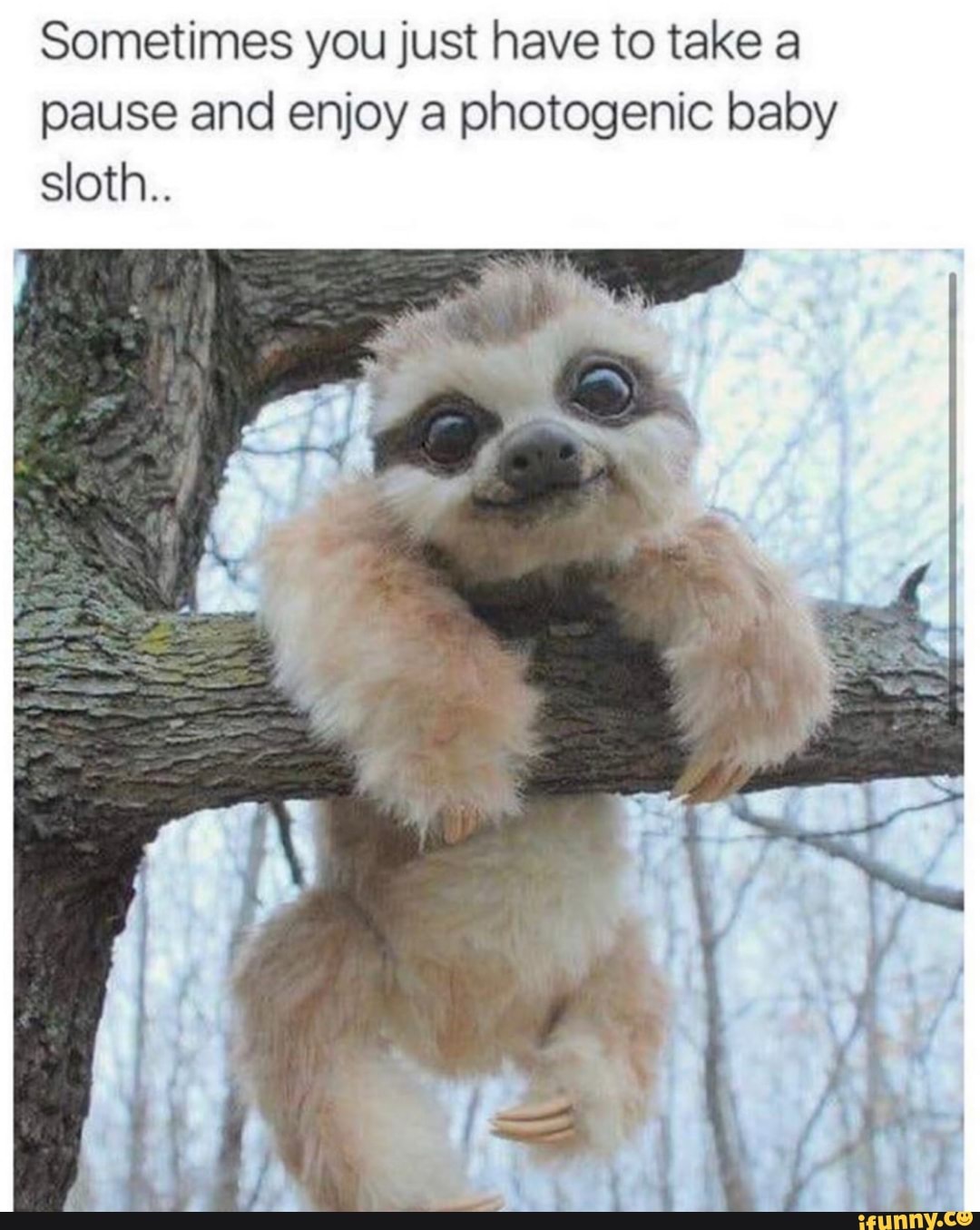 Sometimes you just have to take a pause and enjoy a photogenic baby ...