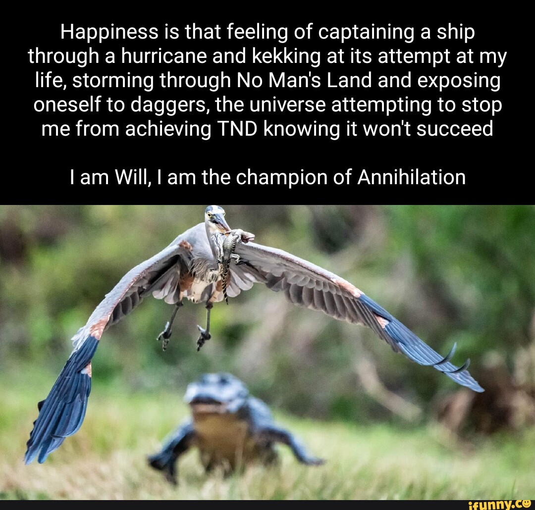 Happiness is that feeling of captaining a ship through a hurricane and ...