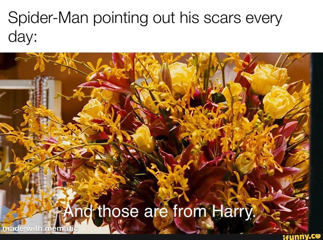 Spider-Man pointing out his scars every day: And those are from Harry ...