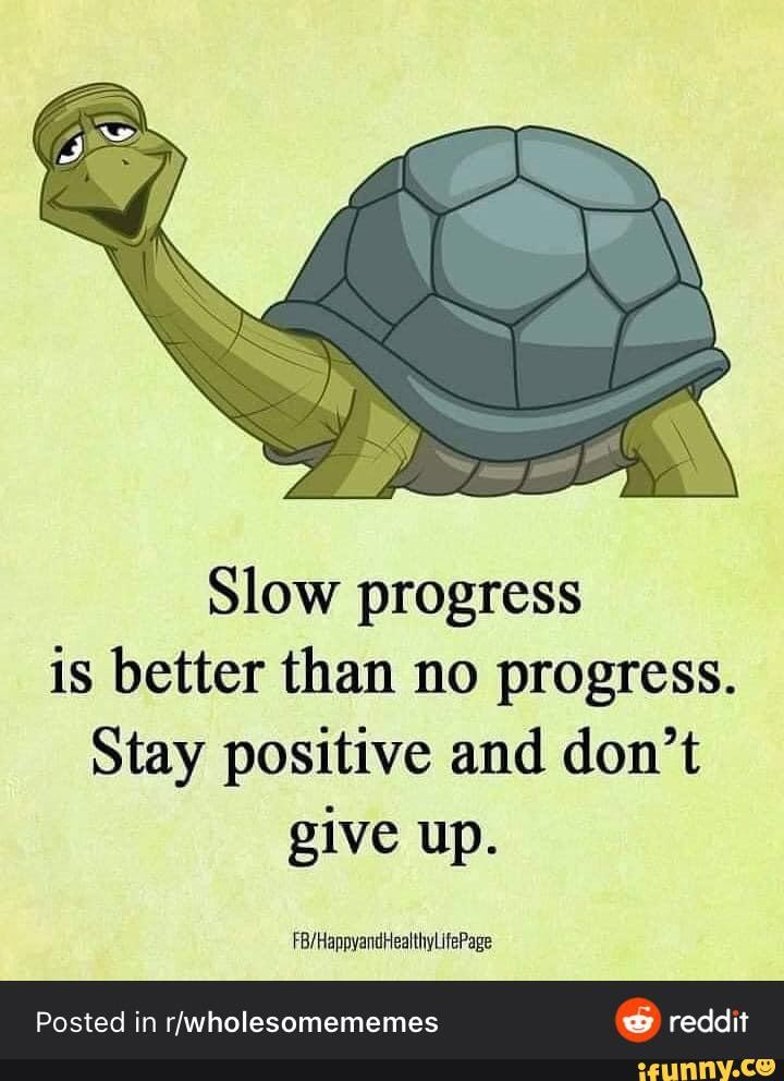 Rfwholesomememes memes. Best Collection of funny Rfwholesomememes ...