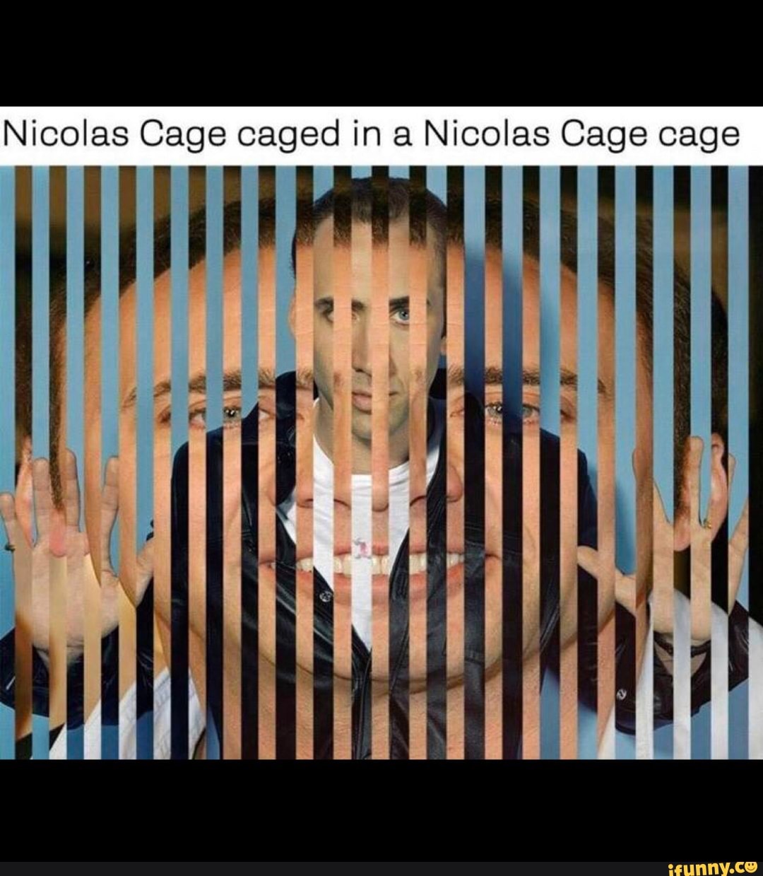 Nicolas Cage caged in a Nicolas Cage cage - iFunny