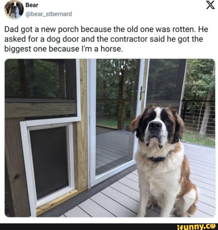 Front Porch Memes Hardcore Italian Memes I Could Do It All Day! ☺