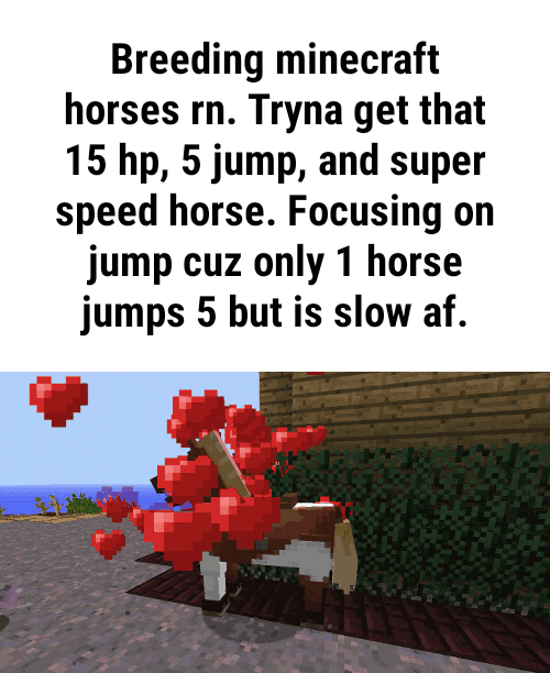 Breeding minecraft horses rn. Tryna get that 15 hp, 5 jump, and super ...