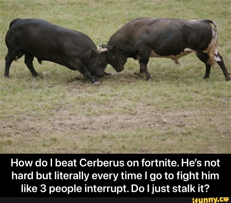Cerberus memes. Best Collection of funny Cerberus pictures on iFunny