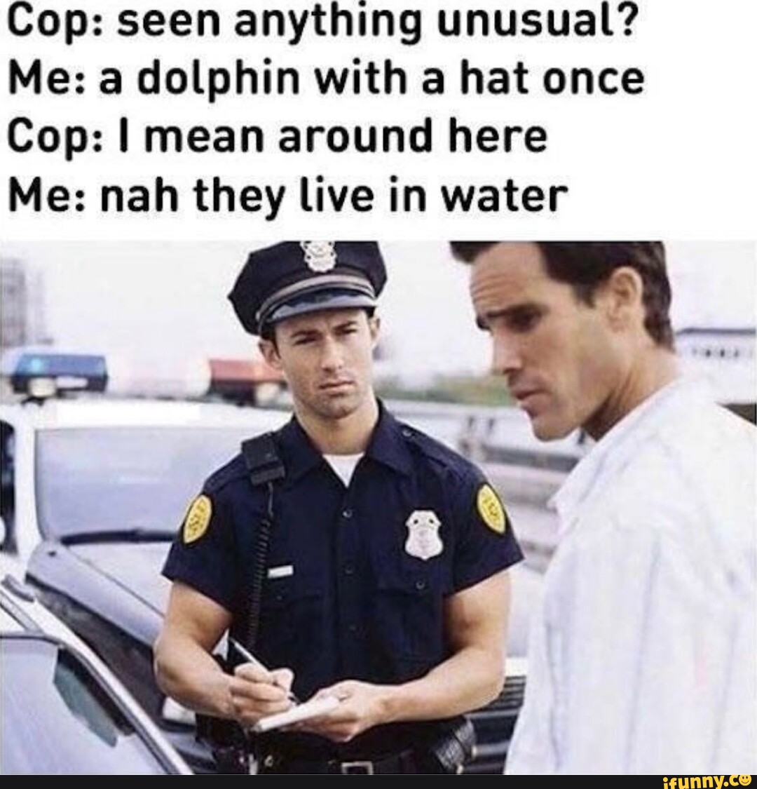 Cop: seen anything unusual? Me: a dolphin with a hat once Cop: I mean ...