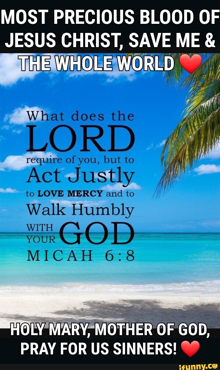 MOST PRECIOUS BLOOD OF JESUS CHRIST, SAVE ME & THE WHOLE WORLD What ...