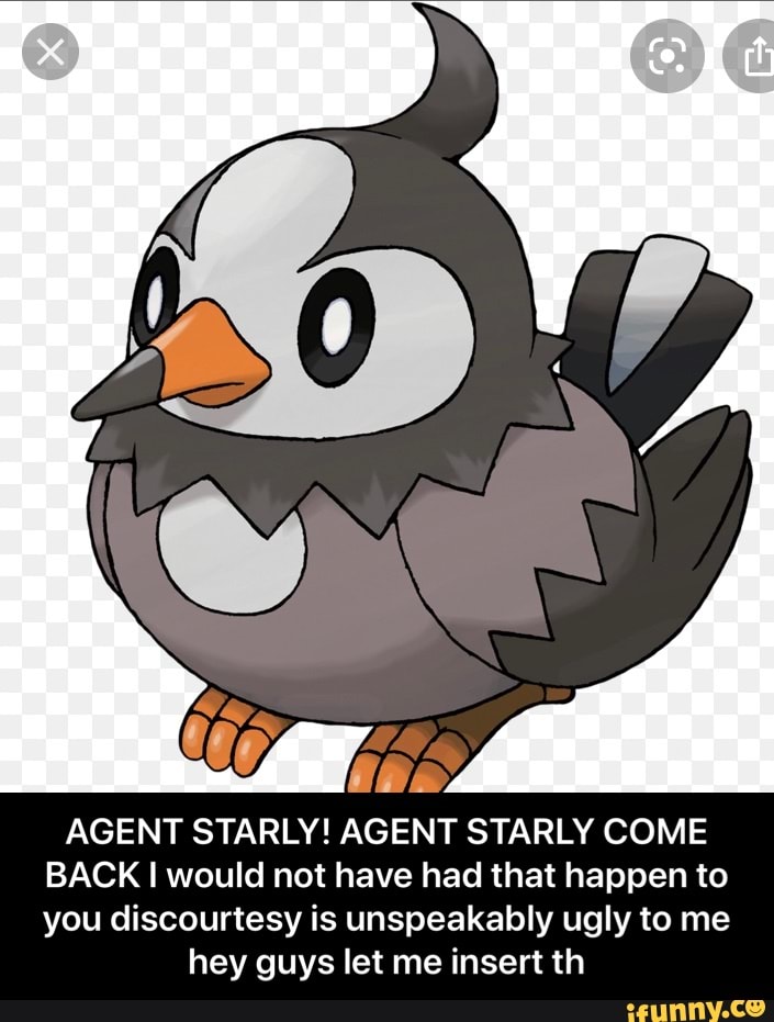 Starly Memes