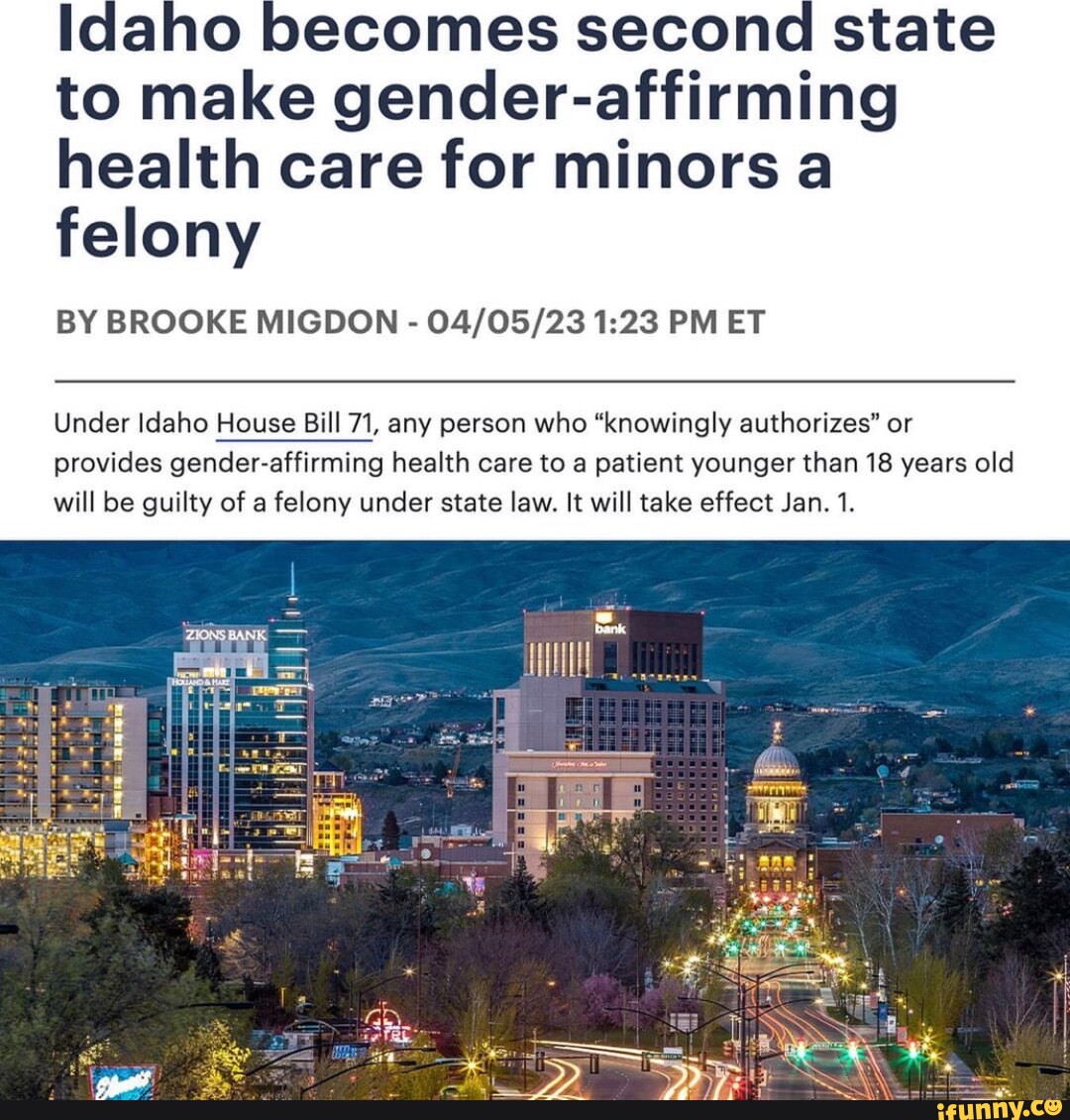 Idaho becomes second state to make gender-affirming health care for ...