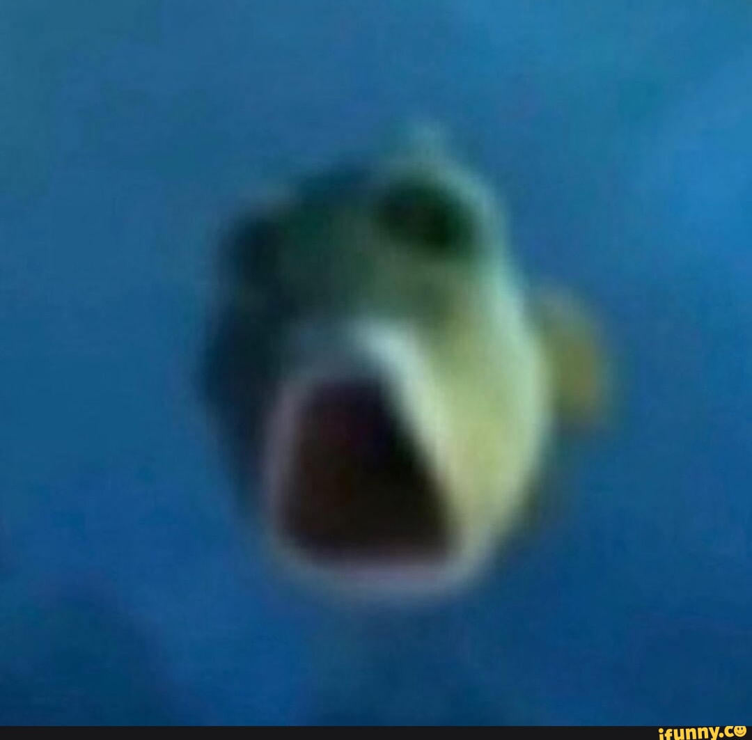 Pogfish memes. Best Collection of funny Pogfish pictures on iFunny