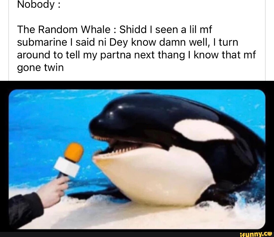 Shidd memes. Best Collection of funny Shidd pictures on iFunny