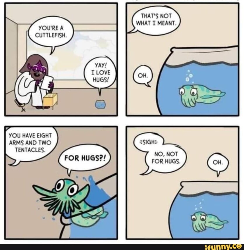 Cuttlefish memes. Best Collection of funny Cuttlefish pictures on iFunny