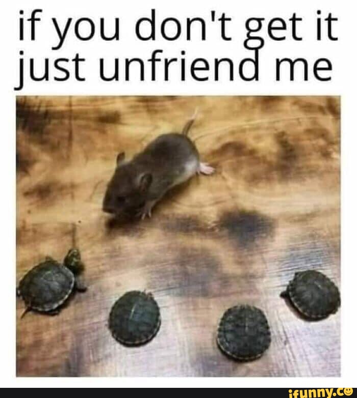 Unfriend memes. Best Collection of funny Unfriend pictures on iFunny