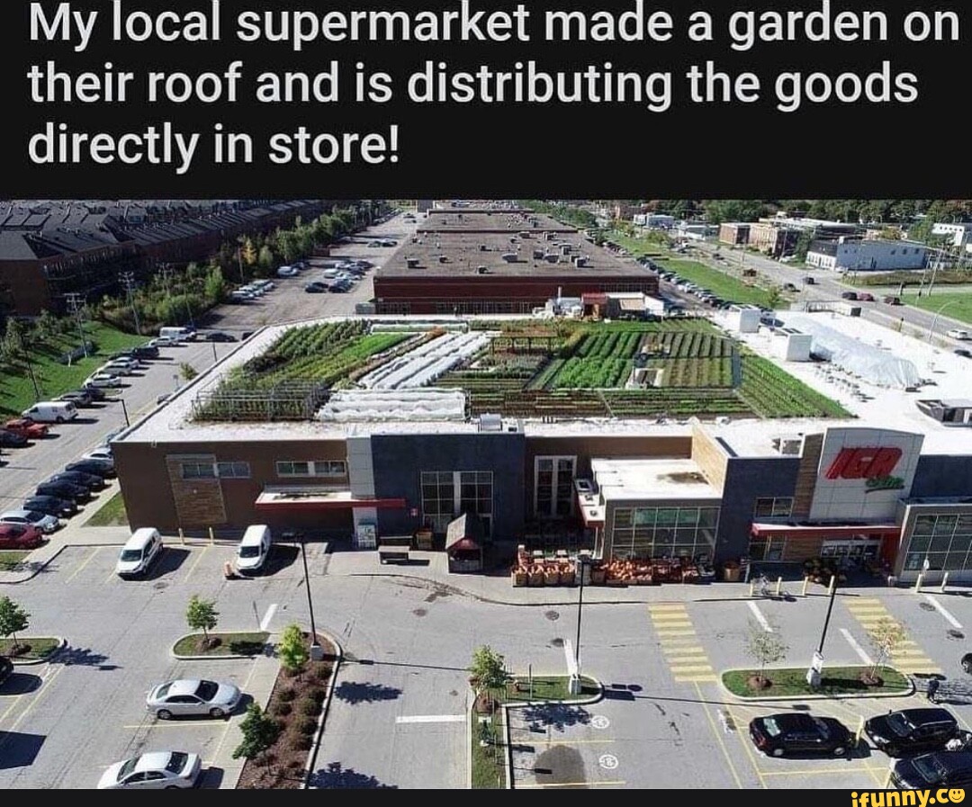 My local supermarket made a garden on their roof and is distributing ...