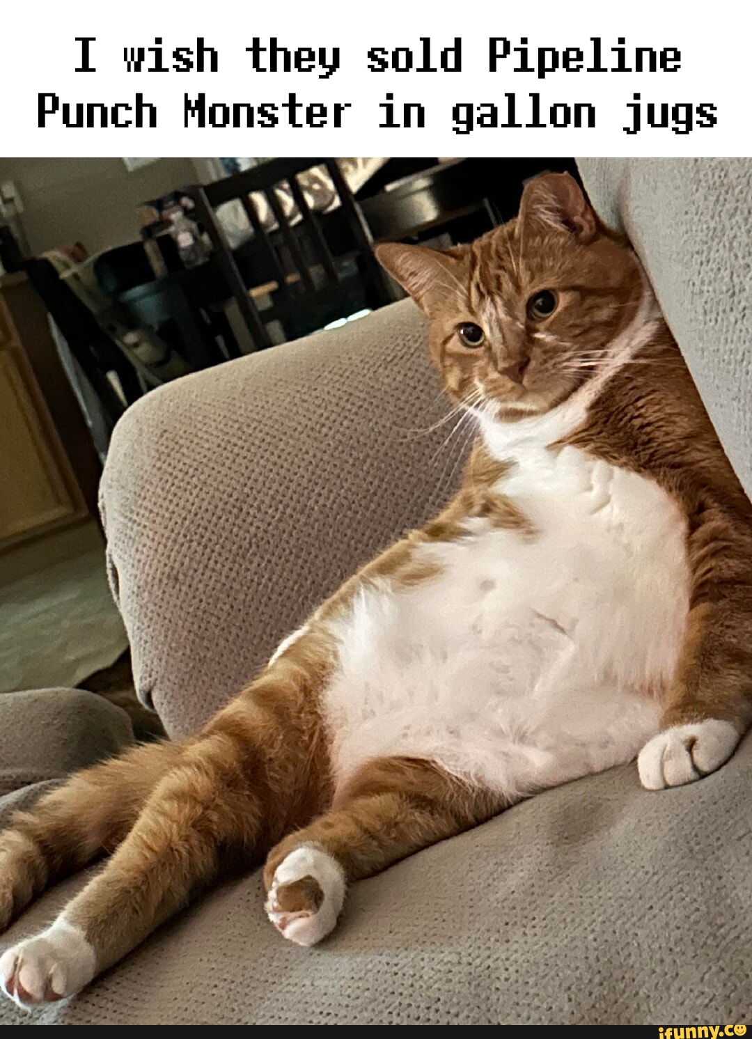 Jugs memes. Best Collection of funny Jugs pictures on iFunny