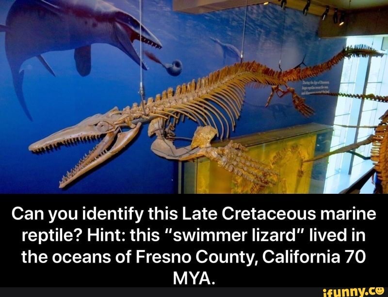 Mosasaur memes. Best Collection of funny Mosasaur pictures on iFunny