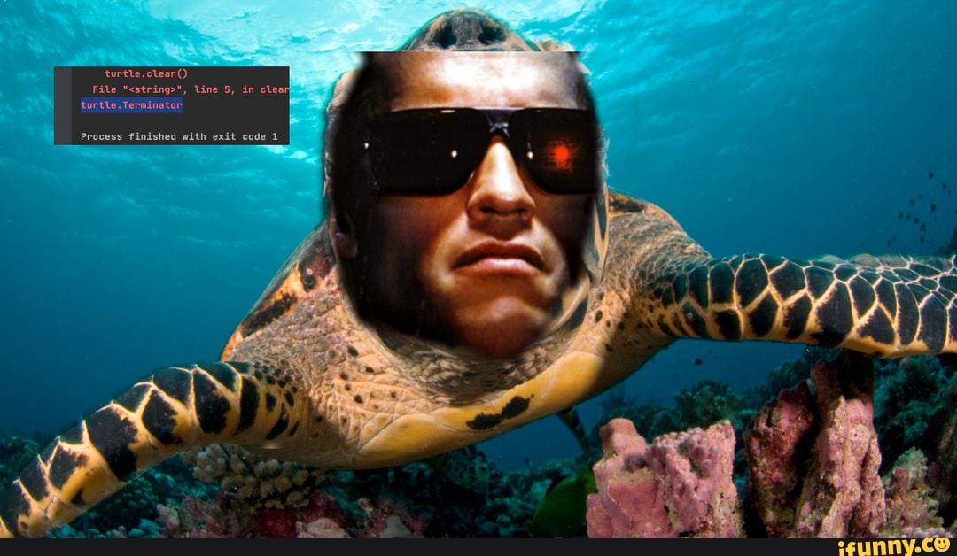 Turtle.clear() File " ", line 5, in clea turtle.Terminator Process finished with exit code 1 ...