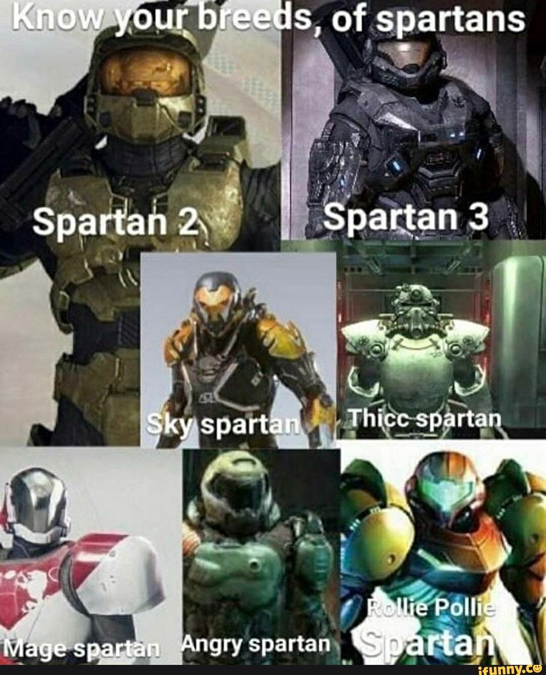 Know your breeds, of spartans Spartan 2. Spartan 3 Sky Spartan Thice ...