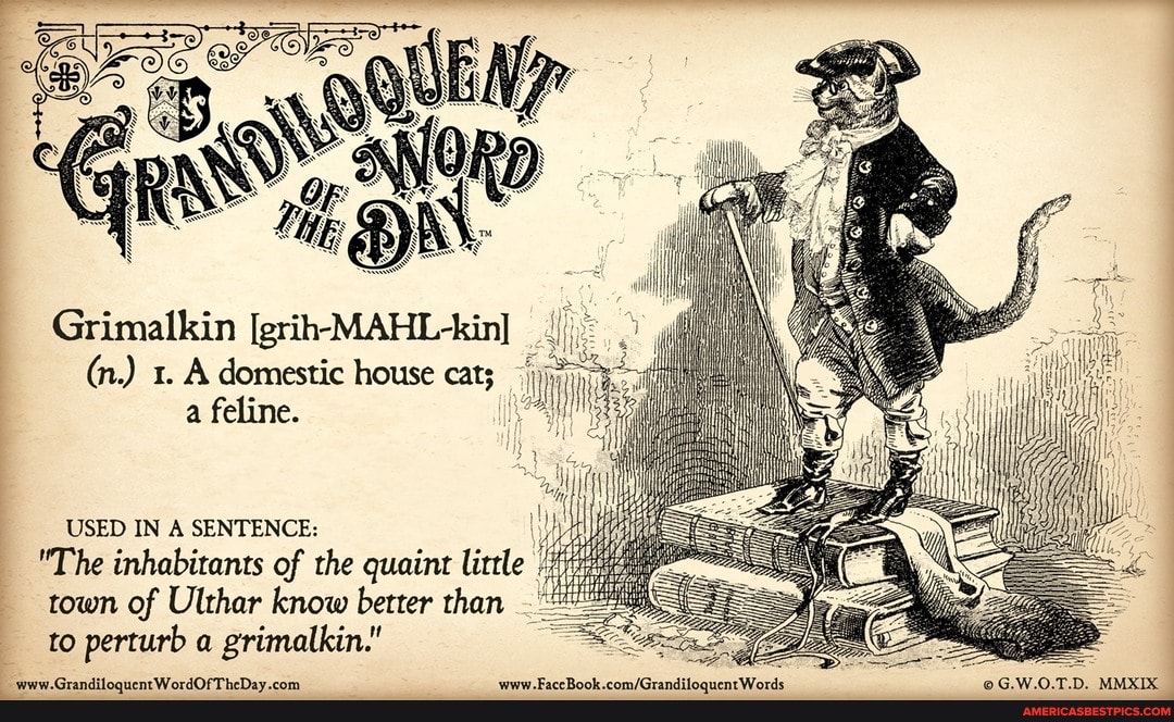Grimalkin [grihMAHL-kin] (n.) 1. A domestic house cat; a feline. USED ...